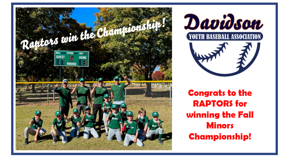 Home [www.davidsonyouthbaseball.com]